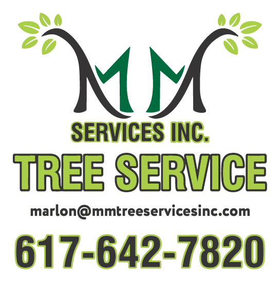 gallery | MM Tree Services INC